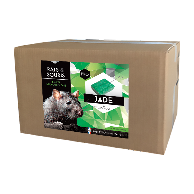 Jade Bloc 100g avec crochet 10kg - Lodi-hygiène