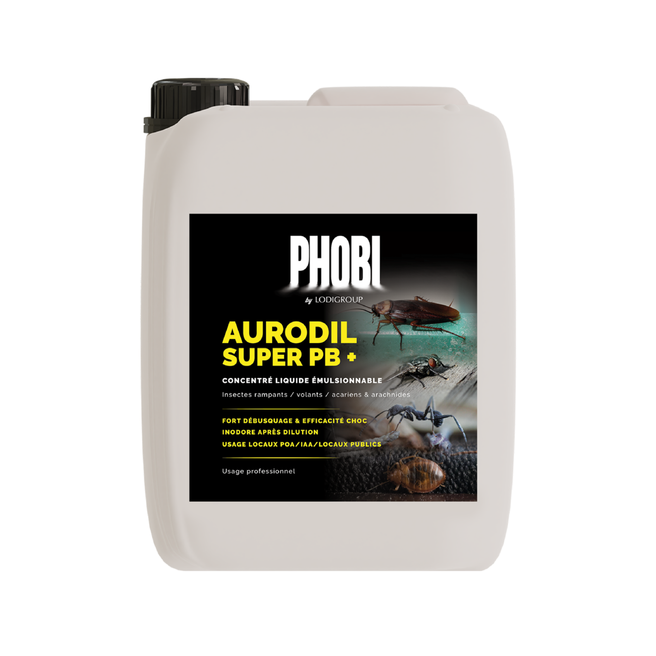 Pyréthrine : Comment utiliser cet insecticide naturel ? - Lodi-hygiène