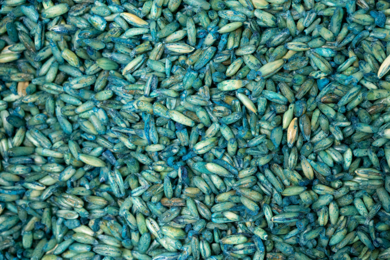 Tout savoir sur le brodifacoum des rodenticides LODIGROUP - Lodi-hygiène