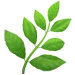 Pyréthrine : Comment utiliser cet insecticide naturel ? - Lodi-hygiène