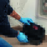 Comment se passe une dératisation ? - Lodi-hygiène